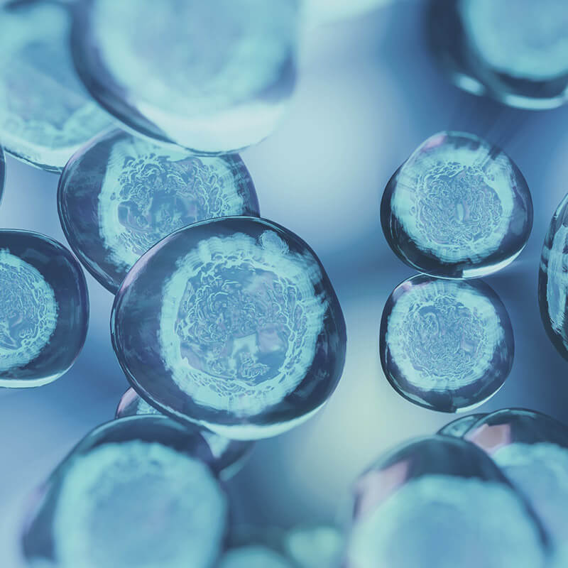 Expertise - Latham BioPharm Group